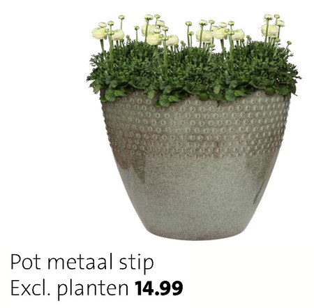 bloempot folder aanbieding bij Intratuin - details