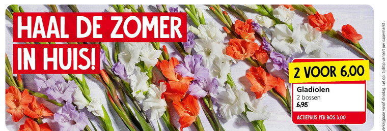 gladiolen folder aanbieding bij Jan Linders - details
