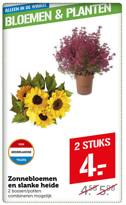 heideplant, zonnebloem folder aanbieding bij Coop - details