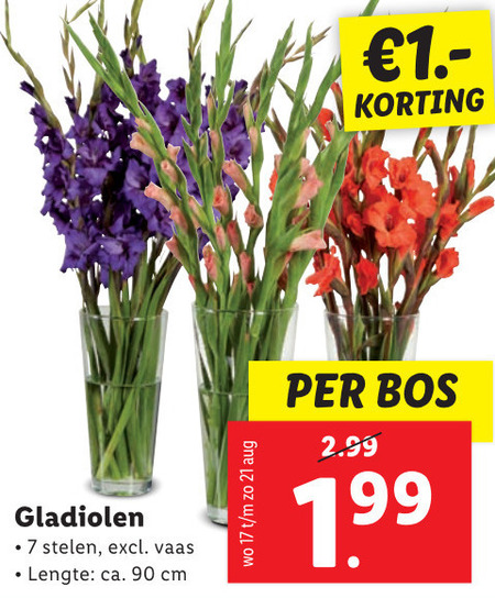 folder aanbieding bij Lidl - details