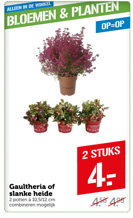 folder aanbieding bij Coop - details