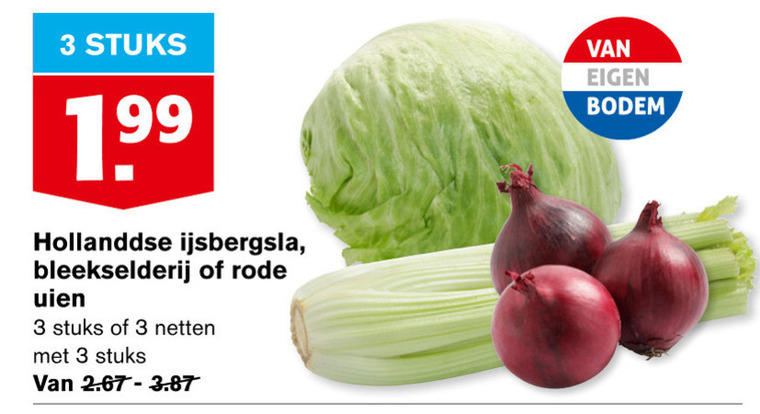 bleekselderij, ijsbergsla folder aanbieding bij Hoogvliet - details