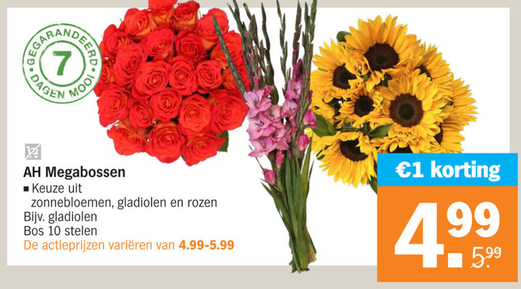 rozen, gladiolen folder aanbieding bij Albert Heijn - details