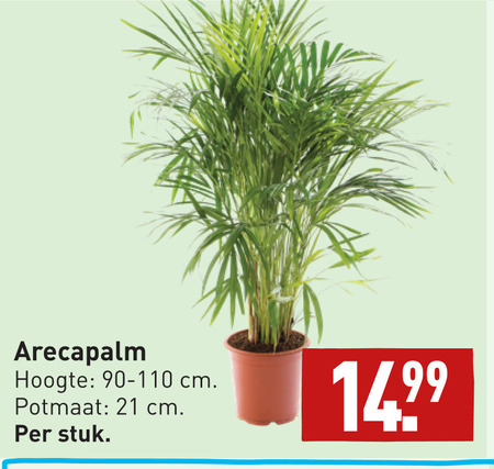 folder aanbieding bij Aldi - details