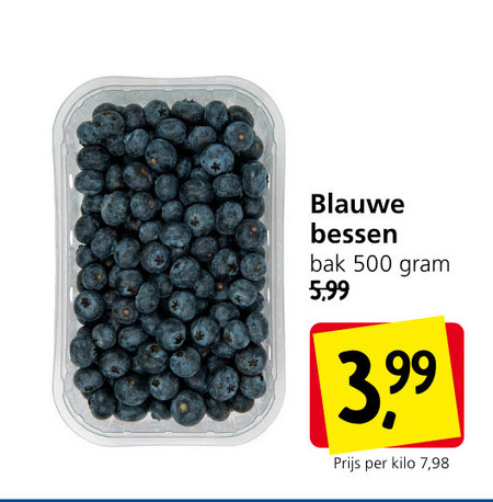 blauwe bessen folder aanbieding bij Jan Linders - details