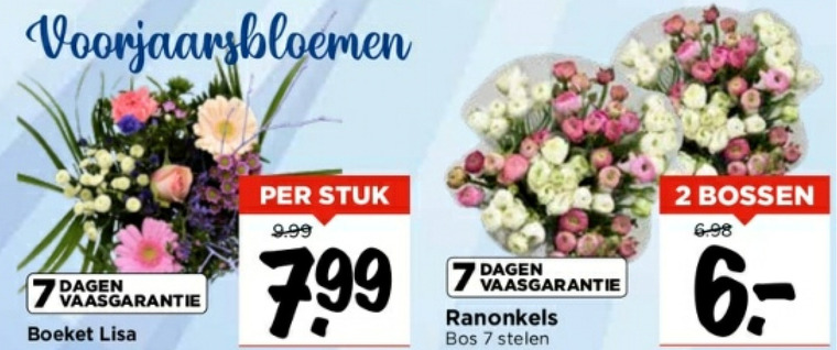 folder aanbieding bij Vomar - details