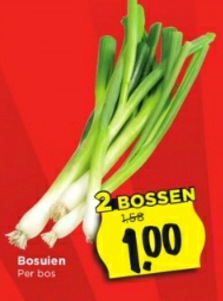 folder aanbieding bij Vomar - details